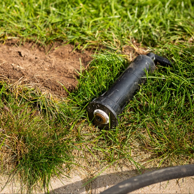 Sod Care: Watering, Fertilization & Weed Control for New Sod Lawns